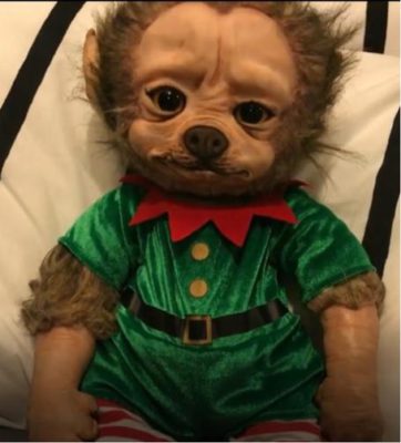 Grinchmas-Reborn Baby Grinch - Buy Online 75% Off - Wizzgoo Store