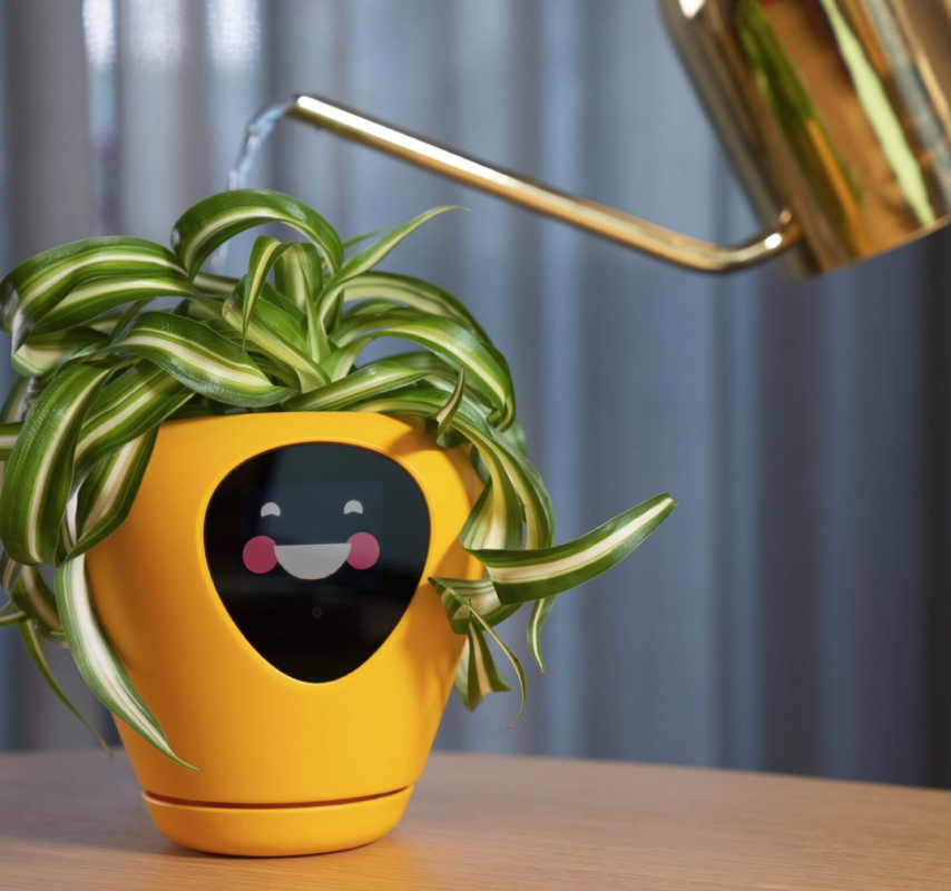 Flora - The smart planter with emotions - (Special Offer 75% Off) - Wizzgoo